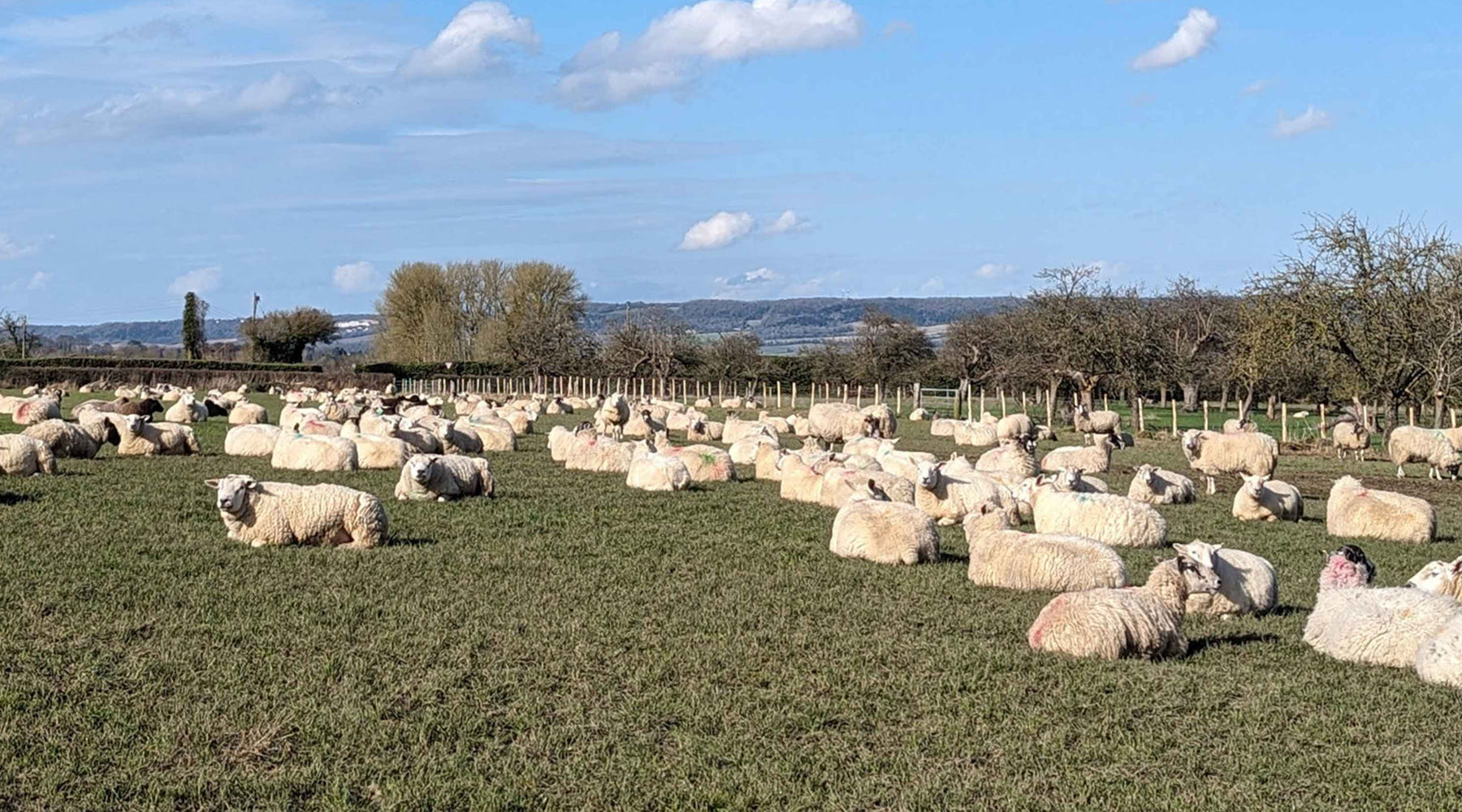 SPRING FOR ZOË COLVILLE – Muck Boot Company Canada